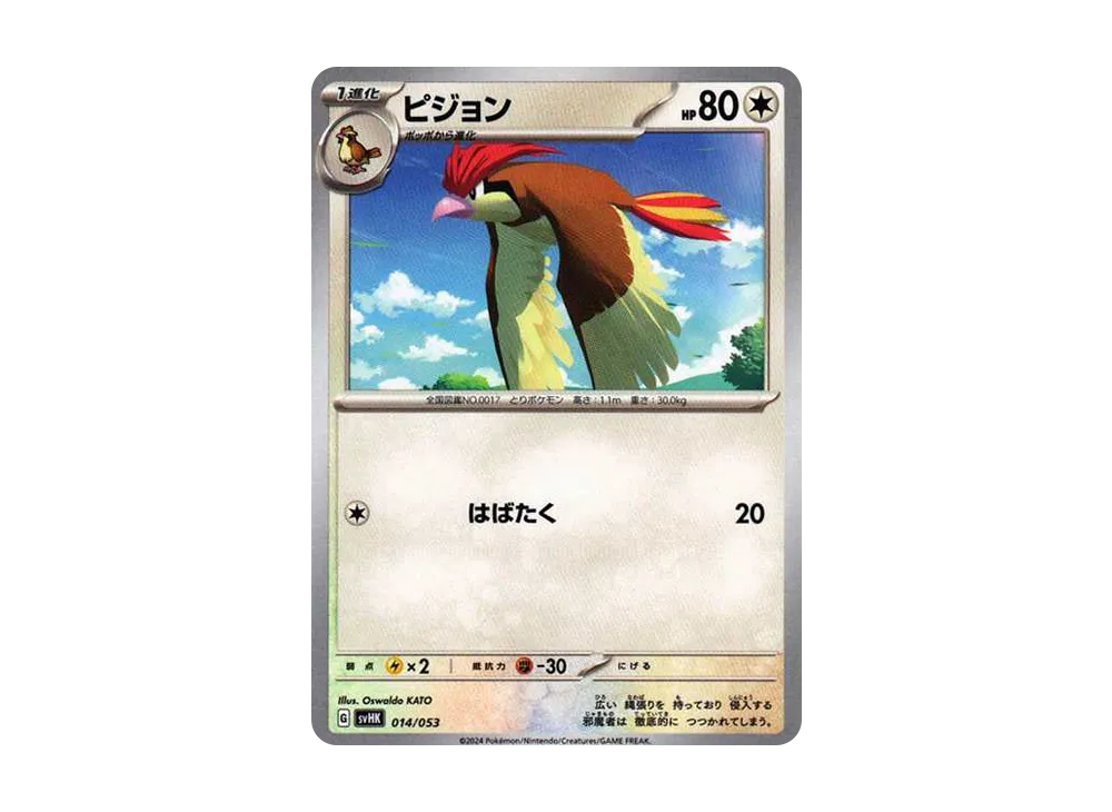 Pidgeotto [SVHK 014/053](Starter Deck & Build Set "Ancient Koraidon ex") | SNKRDUNK