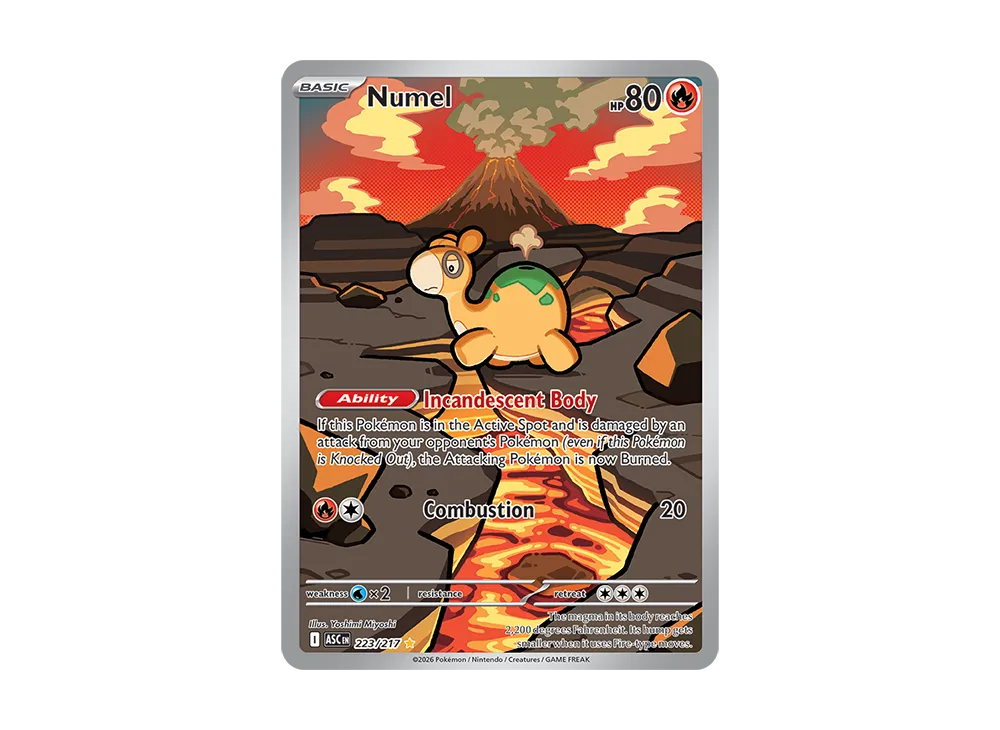 Numel IR [ASC 223/217][EN](Mega Evolution "Ascended Heroes") | SNKRDUNK