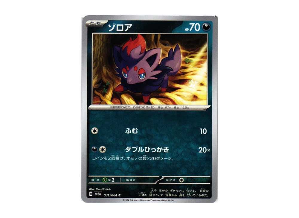 Zorua C [SV6a 031/064](Enhanced Expansion Pack "Night Wanderer") | SNKRDUNK