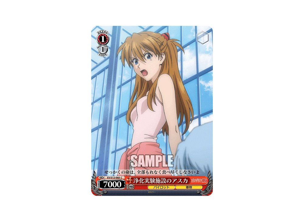 Asuka at the purification experiment facility C [EV/S12-068](Booster Pack "Evangelion: New ...