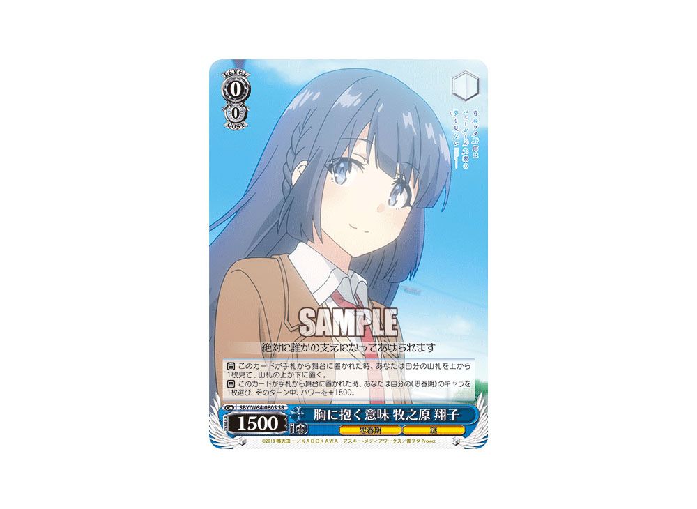 Meaning of Unexpressed Feelings Shoko Makinohara SR [SBY/W64-080S ...