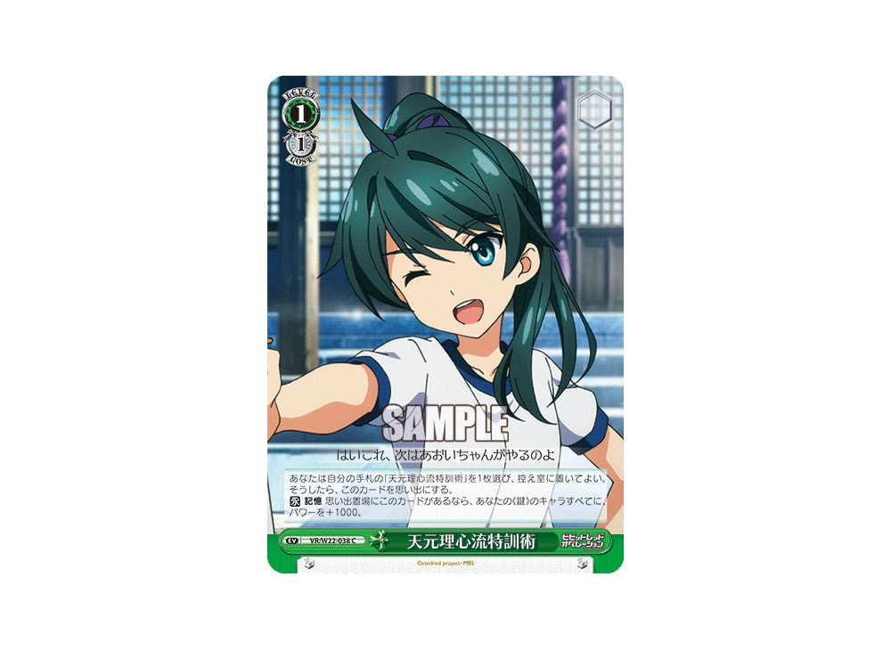 Tengen Rishin-Ryu Special Training Technique C [VR/W22-038](Booster ...