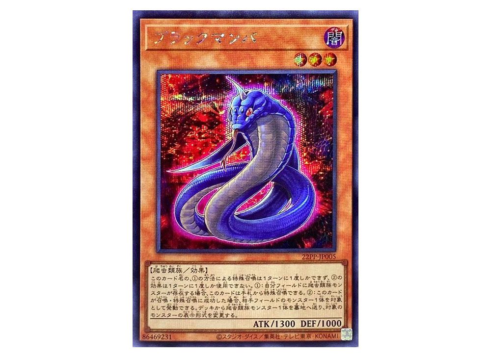 Black Mamba SE [22PP-JP005](PREMIUM PACK 2022) | SNKRDUNK