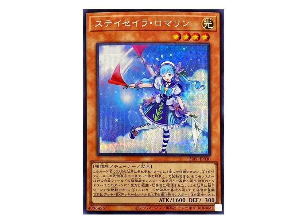 Staysailor Romarin SE [22PP-JP030](PREMIUM PACK 2022) | SNKRDUNK