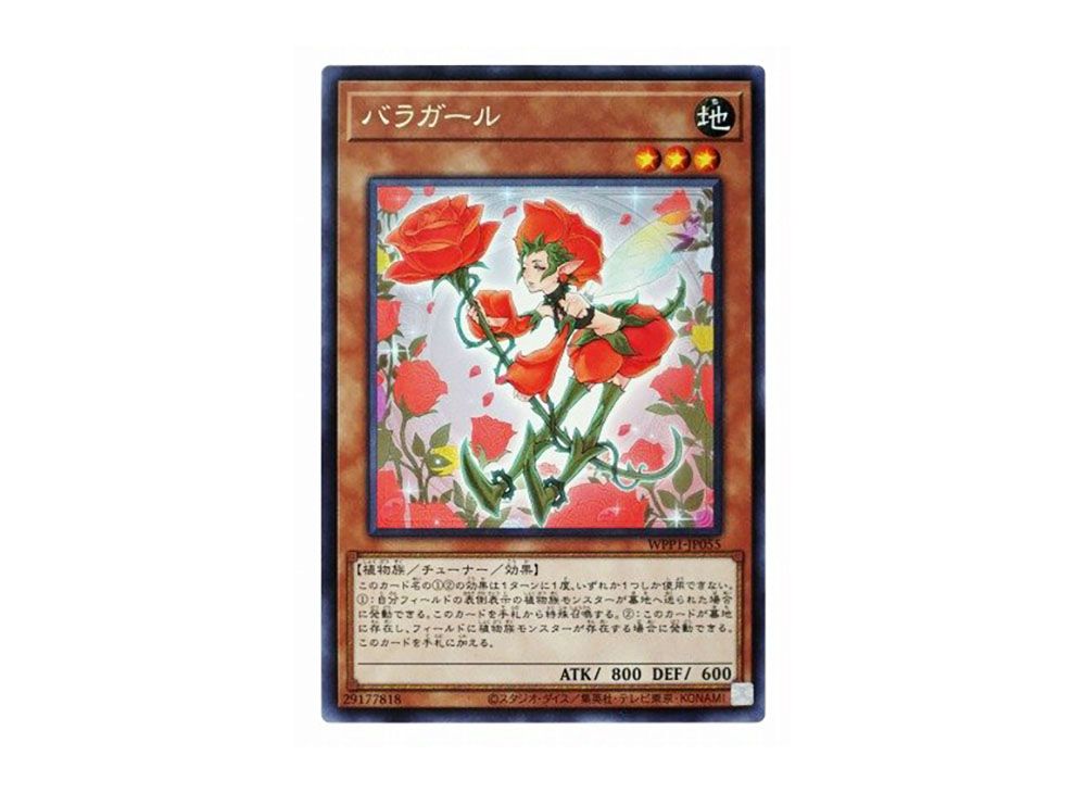 Rose Girl R [WPP1-JP055](WORLD PREMIERE PACK 2020) | SNKRDUNK