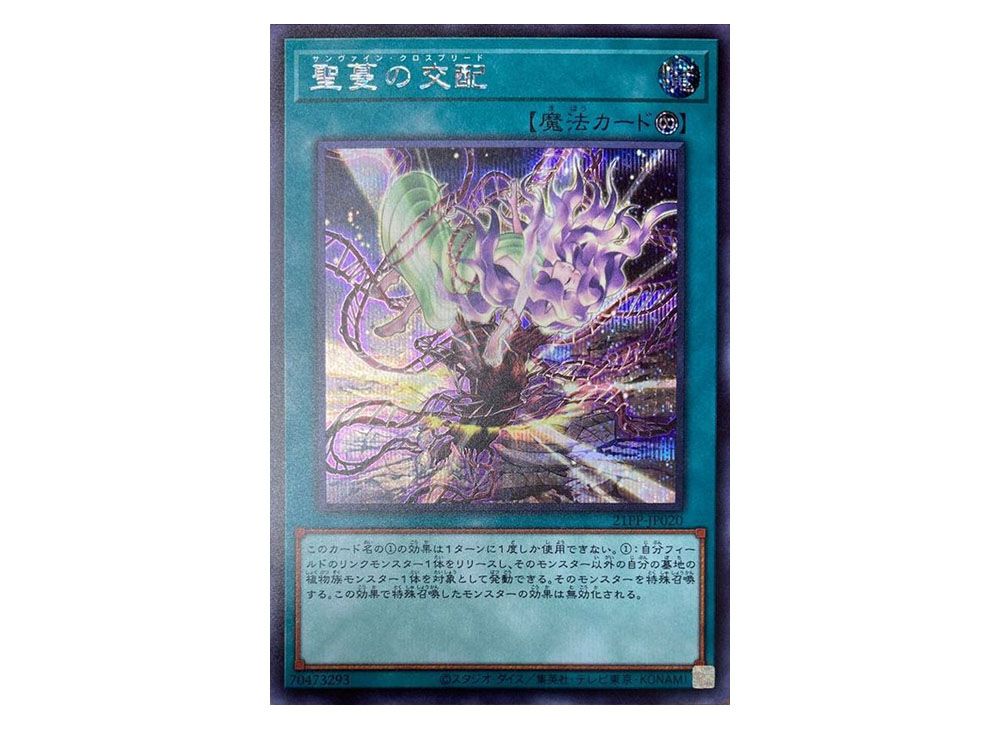 Sunvine Cross Breed SE [21PP-JP020](PREMIUM PACK 2021) | SNKRDUNK