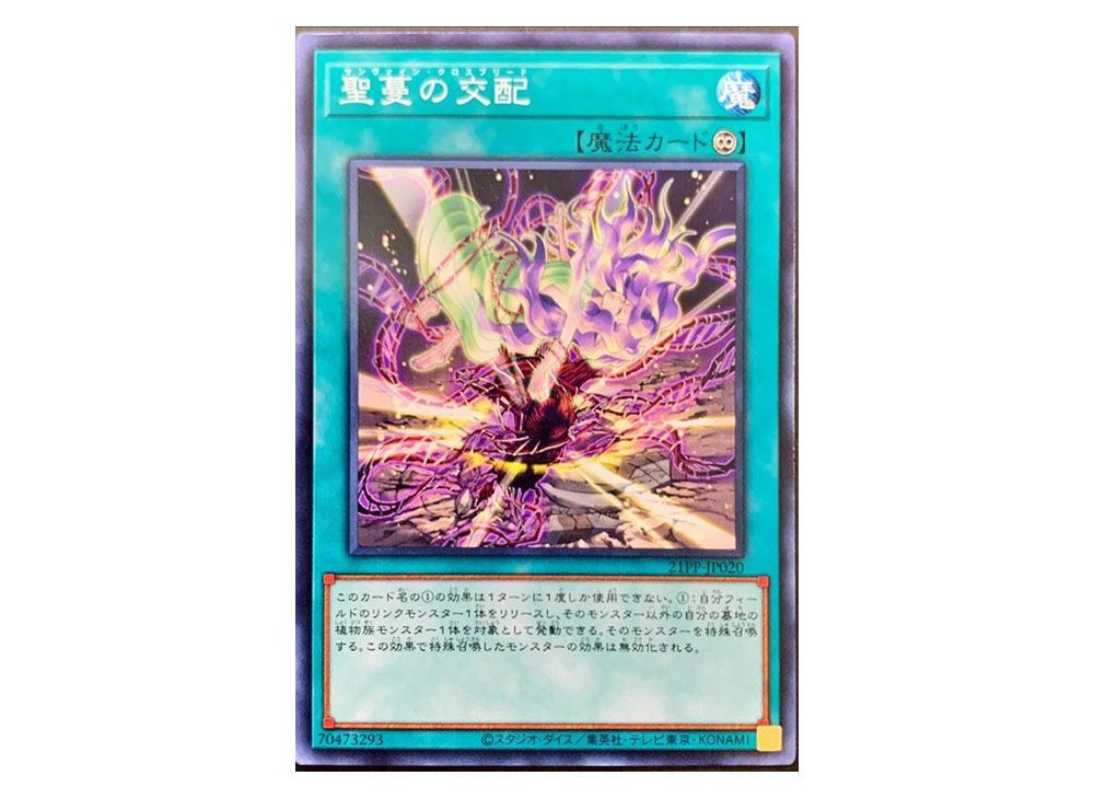 Sunvine Cross Breed N [21PP-JP020](PREMIUM PACK 2021) | SNKRDUNK
