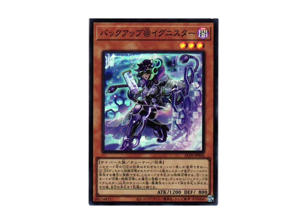 Backup @Ignister SR [ALIN-JP002](ALLIANCE INSIGHT) | SNKRDUNK