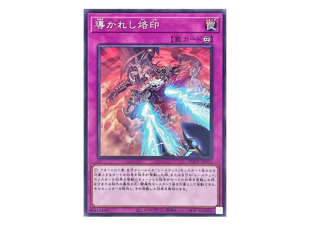 Branded Befallen N [PHHY-JP073](PHOTON HYPERNOVA) | SNKRDUNK