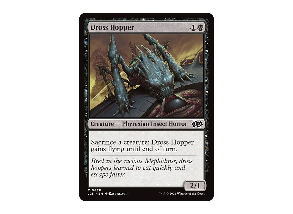 Dross Hopper C [J25 0428] [EN](Foundations) | SNKRDUNK