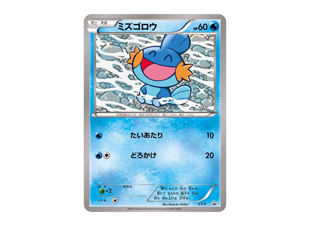 Mudkip P [XY-P](Promotional Cards "Pokemon Art Academy Illustration ...
