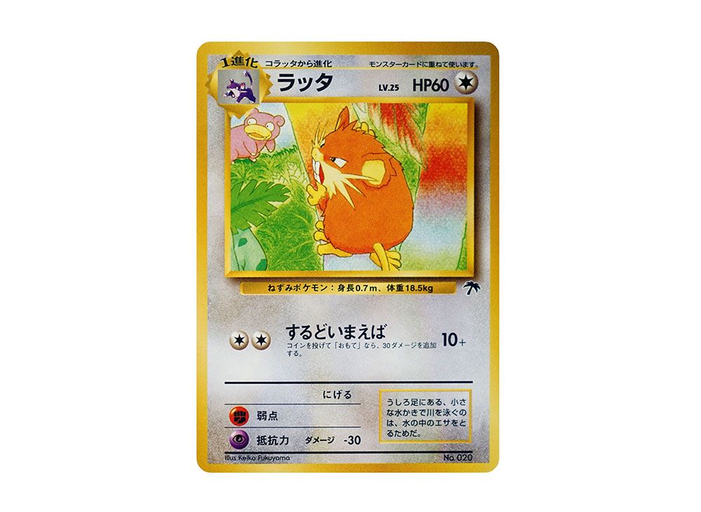 Raticate : Old Back [PMCG-P No.020](Old Back Promotion Card "Southern ...