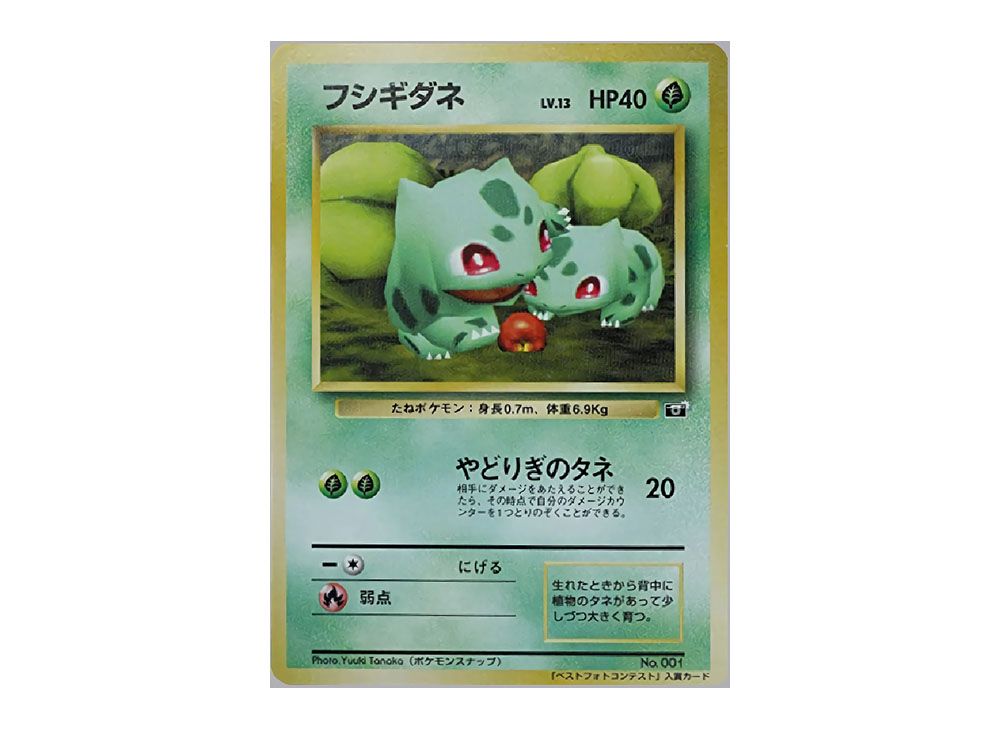 Bulbasaur : Old Back [PMCG-P](Promotional Cards "Pokemon Snap Contest ...