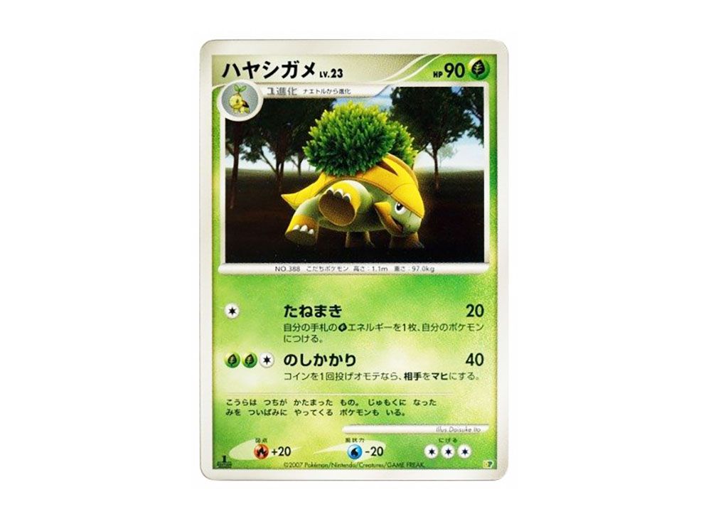 Grotle :1ED [DP](Diamond Pearl "Entry Pack'08") | SNKRDUNK