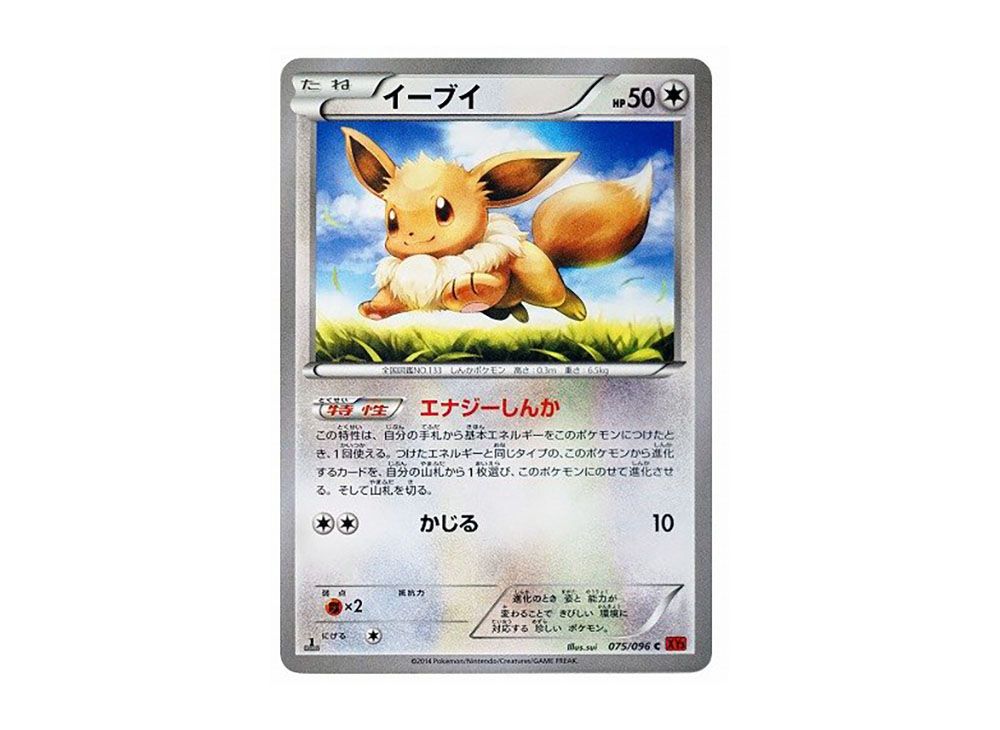 Eevee C :1ED [XY3 075/096](Expansion Pack "Rising Fist") | SNKRDUNK