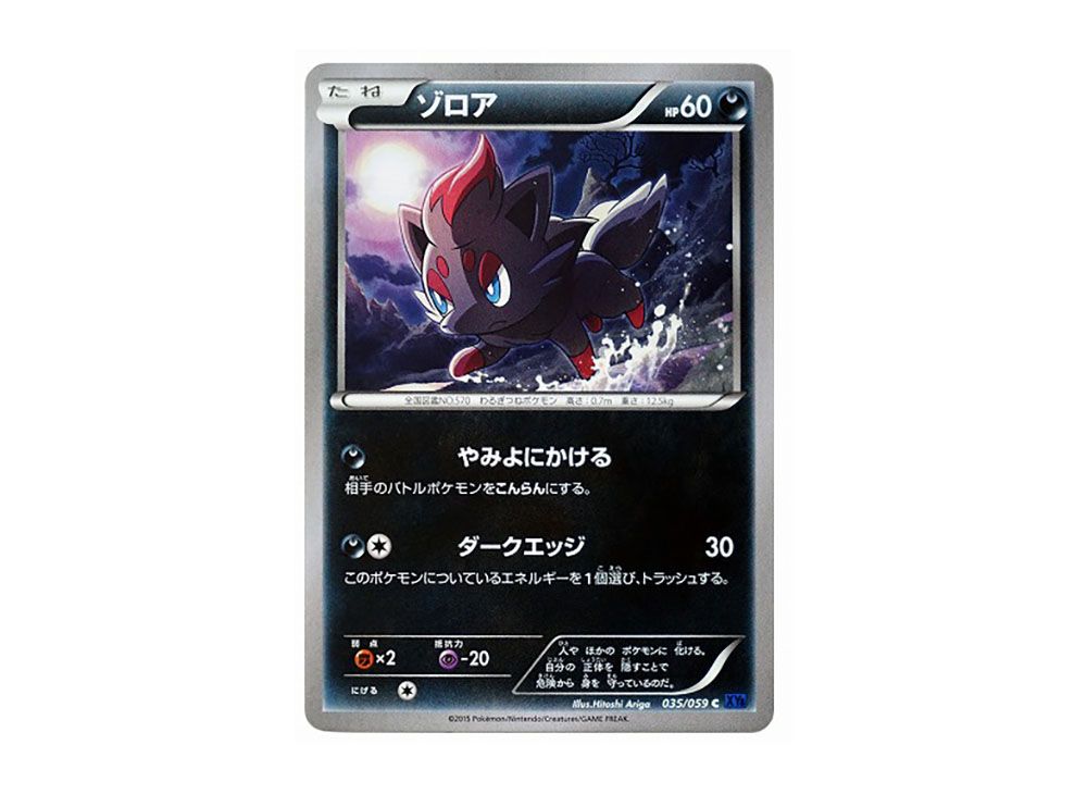 Zorua C [XY8 035/059](Expansion Pack "Blue Impact") | SNKRDUNK